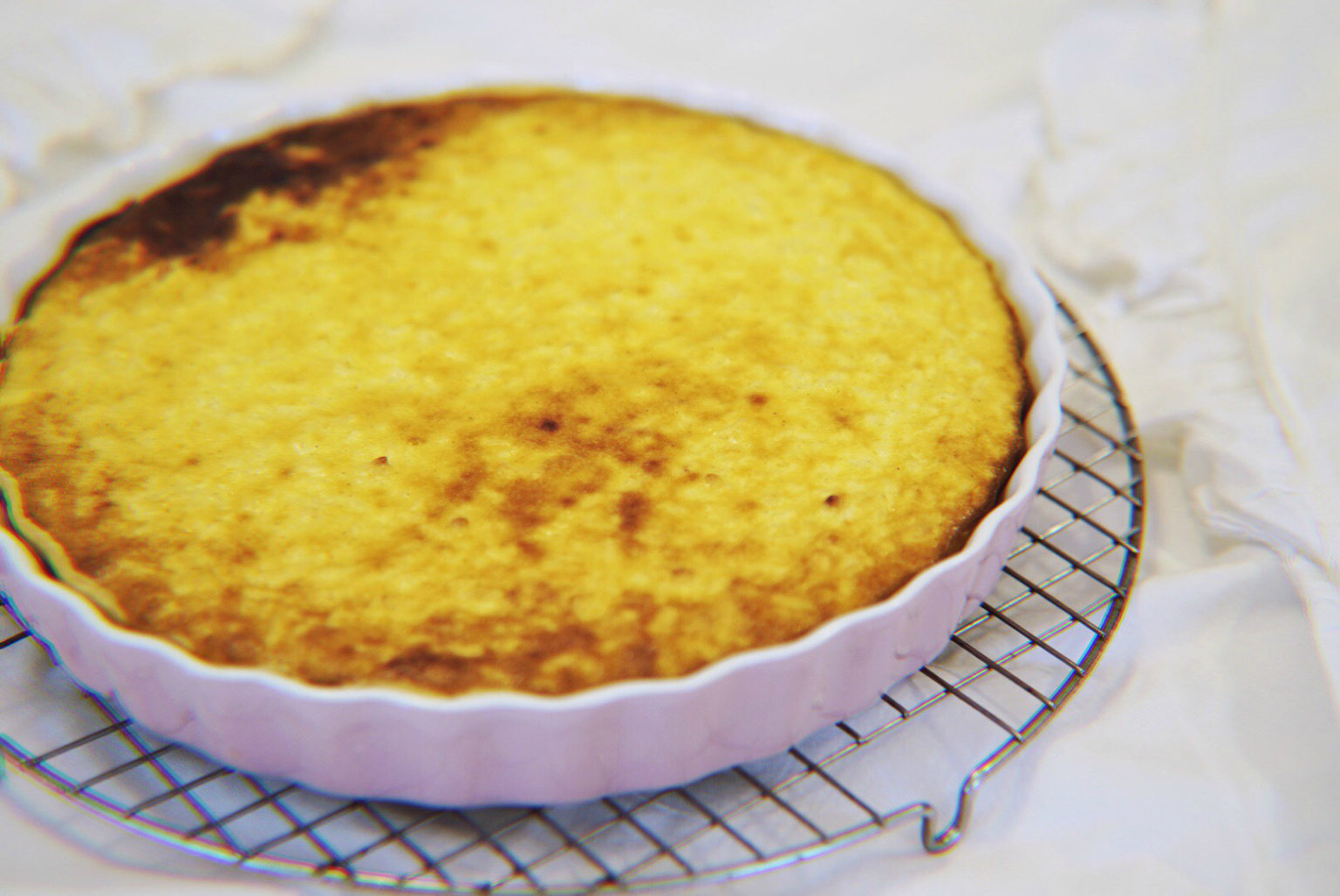 Italian Rice & Ricotta Pie - Rosa Diana